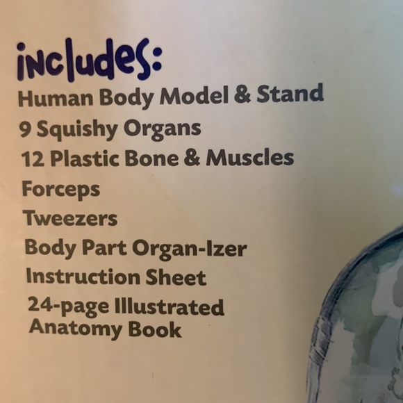 Smart Lab | Toys | Smart Lab Squishy Human Body With Removable Body ...